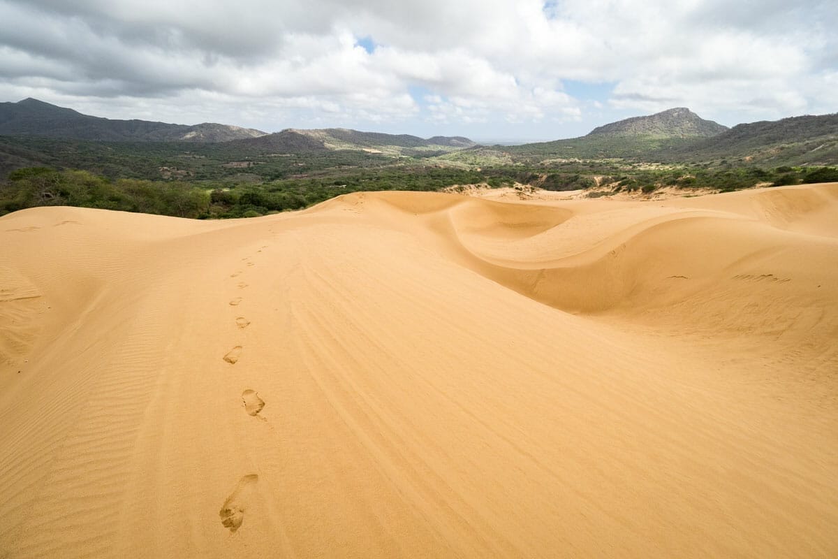 Paisajes Naturaleza Desierto Macro Lo Mejor En La Categoría