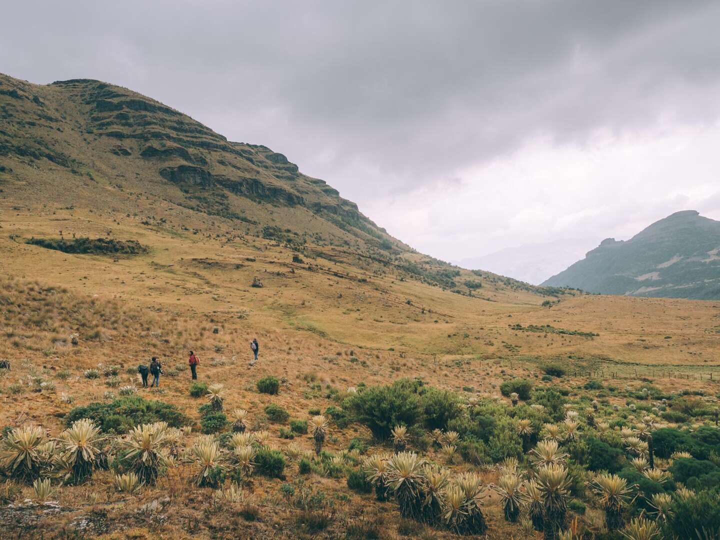 Paramo de Ocetá, una caminata inolvidable (2026) » Blog de viaje por ...