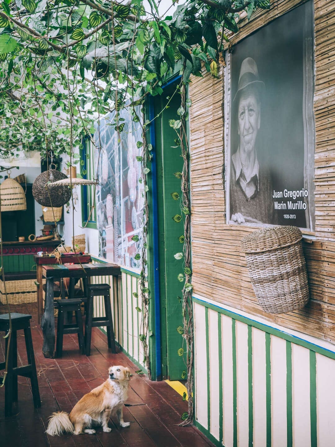 Filandia, que hacer en este lindo pueblo del Quindío (2026) » Blog de ...