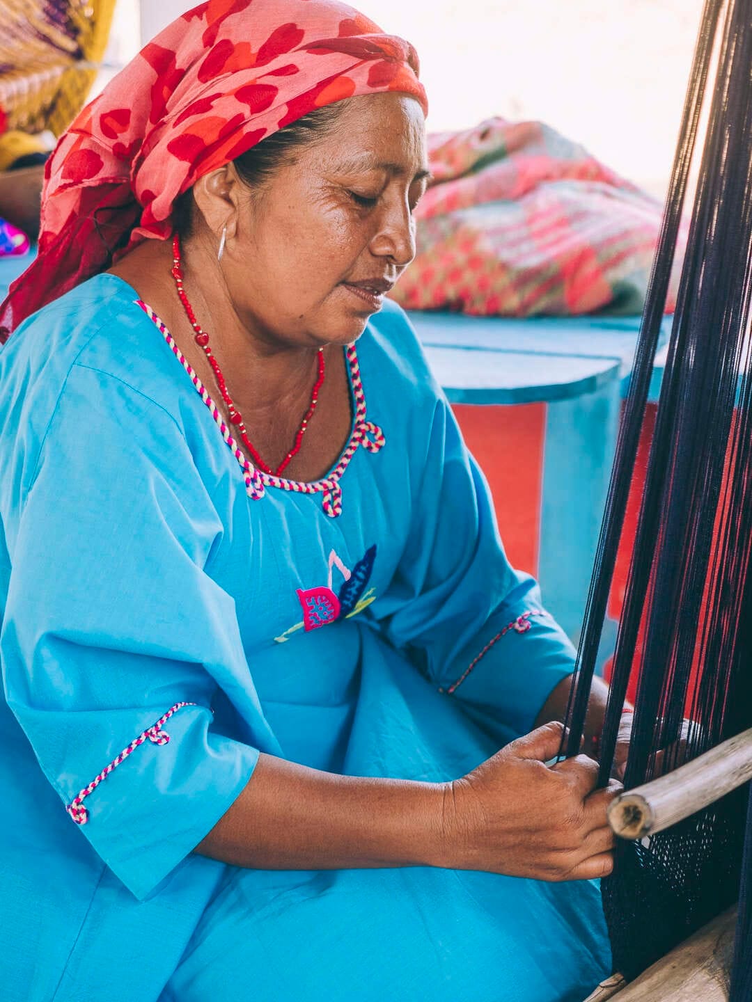 Experiencia cultural con una familia indígena Wayuu en la Guajira (2026 ...